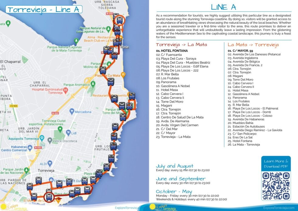 Local Buses in Torrevieja - Everything Torrevieja